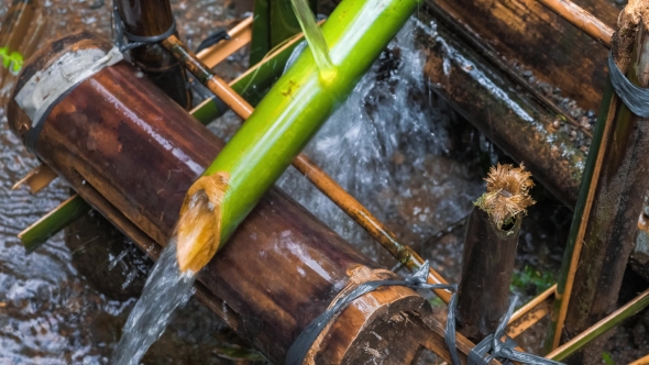 Bamboo Water Irrigation, Brings Water From Stream To Plantation. of ...