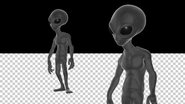 Grey Alien, Motion Graphics | VideoHive