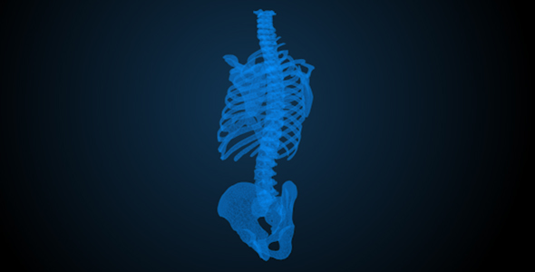 Digital Human Organs Artificial Intelligence, Motion Graphics | VideoHive