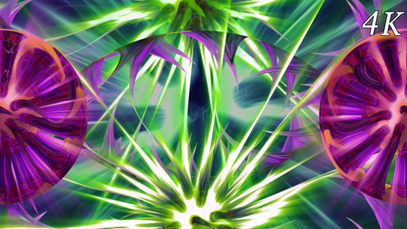 Macro Color 4K 06, Motion Graphics | VideoHive