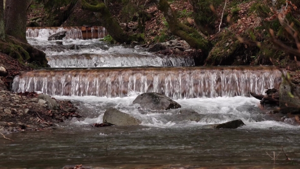 Spring Forest Stream Mountain River Running Cascades Over Mossy Rocks ...