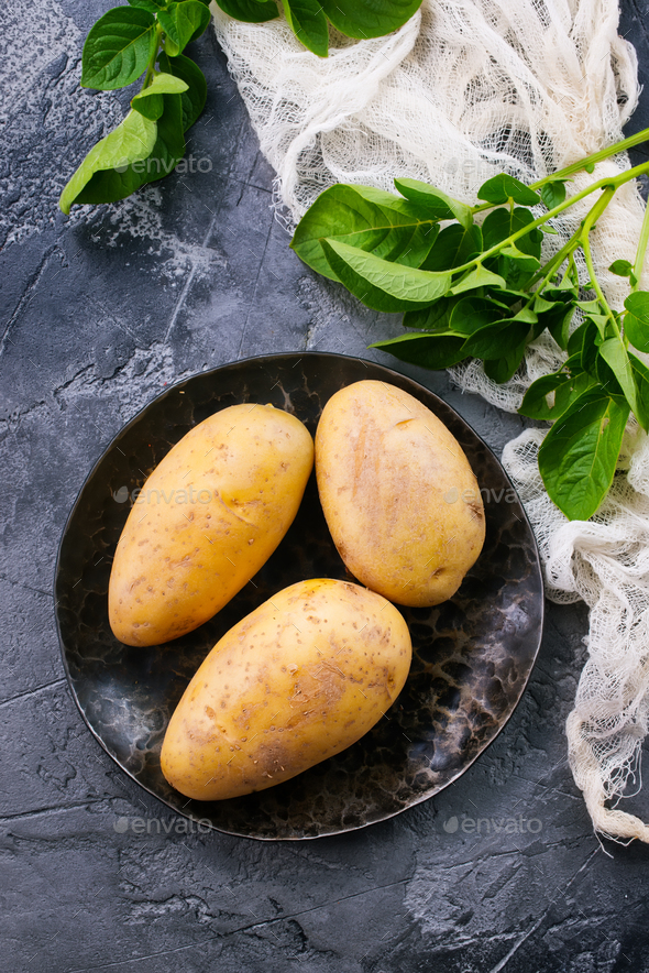 raw potato Stock Photo by tycoon101 | PhotoDune