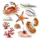 Set of Vector Ocean Illustrations, Vectors | GraphicRiver