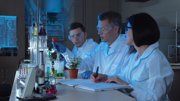 People Dripping Chemical in Plant, Stock Footage | VideoHive