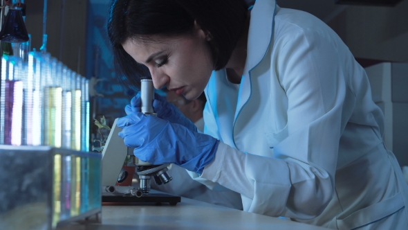 Young Female Scientist Looking Down a Microscope, Stock Footage | VideoHive