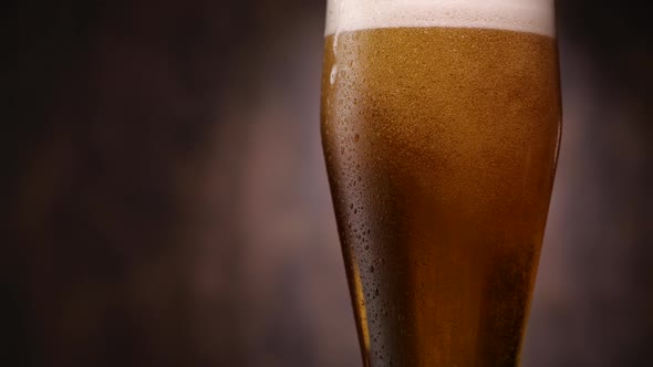 Beer Fizzing in Glass Cup, Stock Footage | VideoHive