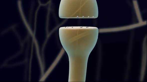 Synaptic transmission, human nervous system. Brain synapses., Motion ...