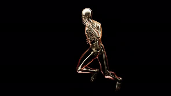 skeleton system of running man, bone Anatomy while run, human physical ...