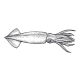 Squid Ink Sketch, Vectors | GraphicRiver