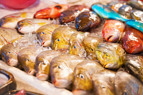 Different kinds of fish for sale at fish market in Asia Stock Photo by ...