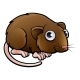 Vole Cartoon Character, Vectors | GraphicRiver