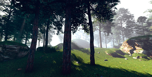 The Forest In Bright Sunlight, Motion Graphics | VideoHive