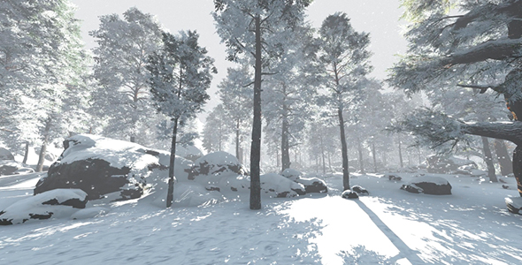 Winter Forest, Motion Graphics | VideoHive