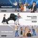 Musician Banner Set, Vectors | GraphicRiver