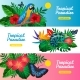 Tropical Horizontal Banner Set, Vectors | GraphicRiver