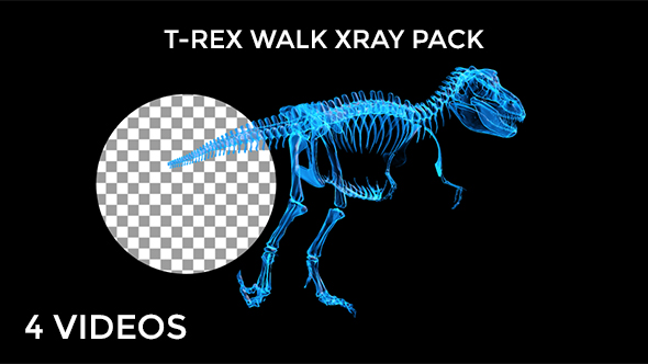 Tyrannosaur Skeleton Walking Xray Background with Alpha, Motion Graphics