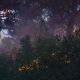 Fire Storm in the Forest, Stock Footage | VideoHive