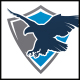 Falcon Shield Logo, Logo Templates | GraphicRiver