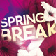 Spring Break Flyer, Print Templates | GraphicRiver