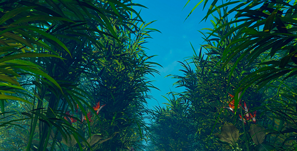 Movement Among Plants, Motion Graphics | VideoHive