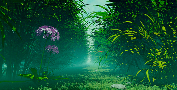 Tropical Forest Movement, Motion Graphics | VideoHive
