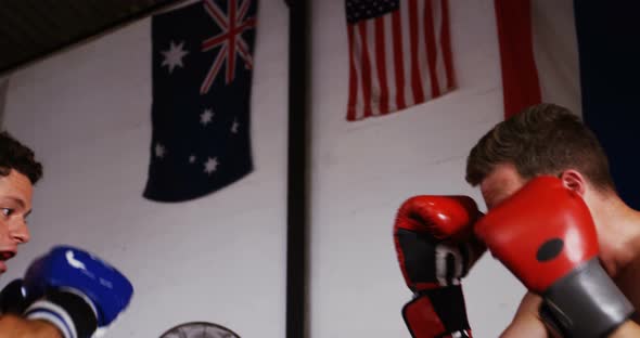 Two boxers practicing in boxing ring, Stock Footage | VideoHive