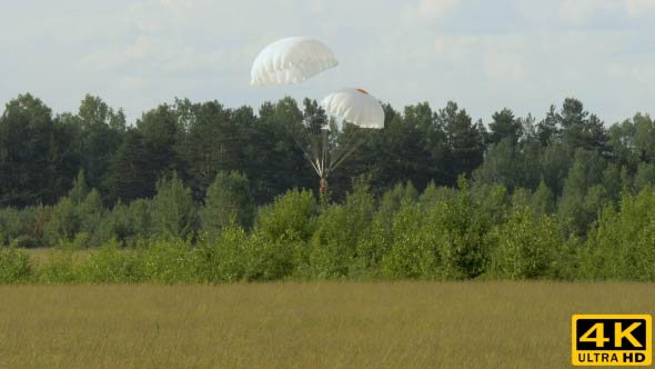 Skydiver Dangerous Landing with Two Parachutes To Trees, Stock Footage