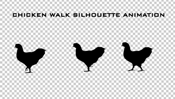 Chicken Walk Silhouette Animation, Motion Graphics | VideoHive