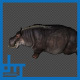 Hippopotamus Run Pack 4 In 1, Motion Graphics | VideoHive