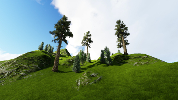 Nature, Motion Graphics | VideoHive