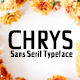 Chrys Sans Serif Typeface, Fonts | GraphicRiver