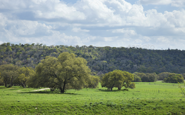 Trees Fields and Hills in the Texas Hill Country Stock Photo by ...