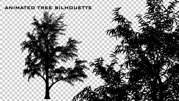 Animated Tree Silhouette, Motion Graphics | VideoHive