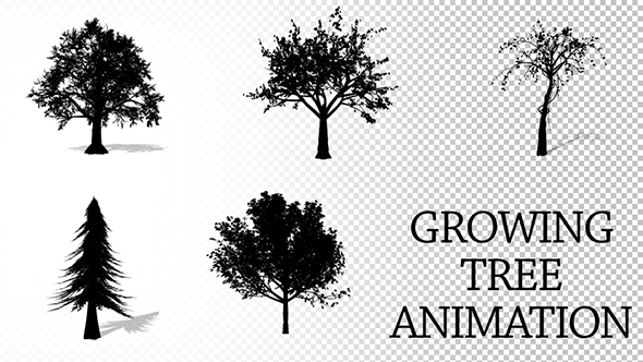 Growing Tree Silhouette Pack, Motion Graphics | VideoHive
