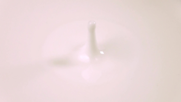 Milk Dropping and Splashing, Stock Footage | VideoHive