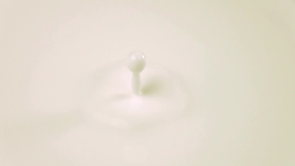 Milk Dropping and Splashing, Stock Footage | VideoHive