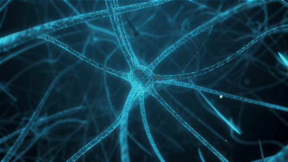 Neuron Cell in Synapse, Motion Graphics | VideoHive