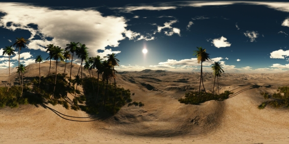 VR 360 Degree Aerial Panorama of Palms in Desert, Motion Graphics ...