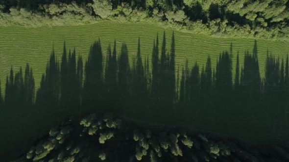 A View From Above of Green Trees, a Shadow From Them Falls To a Free ...