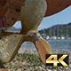 Rusty Propeller near Shore, Stock Footage | VideoHive