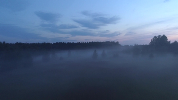 Top View of an Evening and Foggy Forest with Trees, Clouds Above the ...