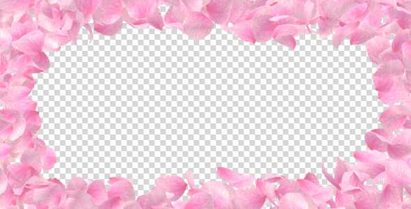Petals Frame, Motion Graphics | VideoHive
