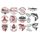Salmon Meat Labels and Badges. Seafood Grill. Fish, Vectors | GraphicRiver