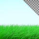 Grass, Motion Graphics | VideoHive