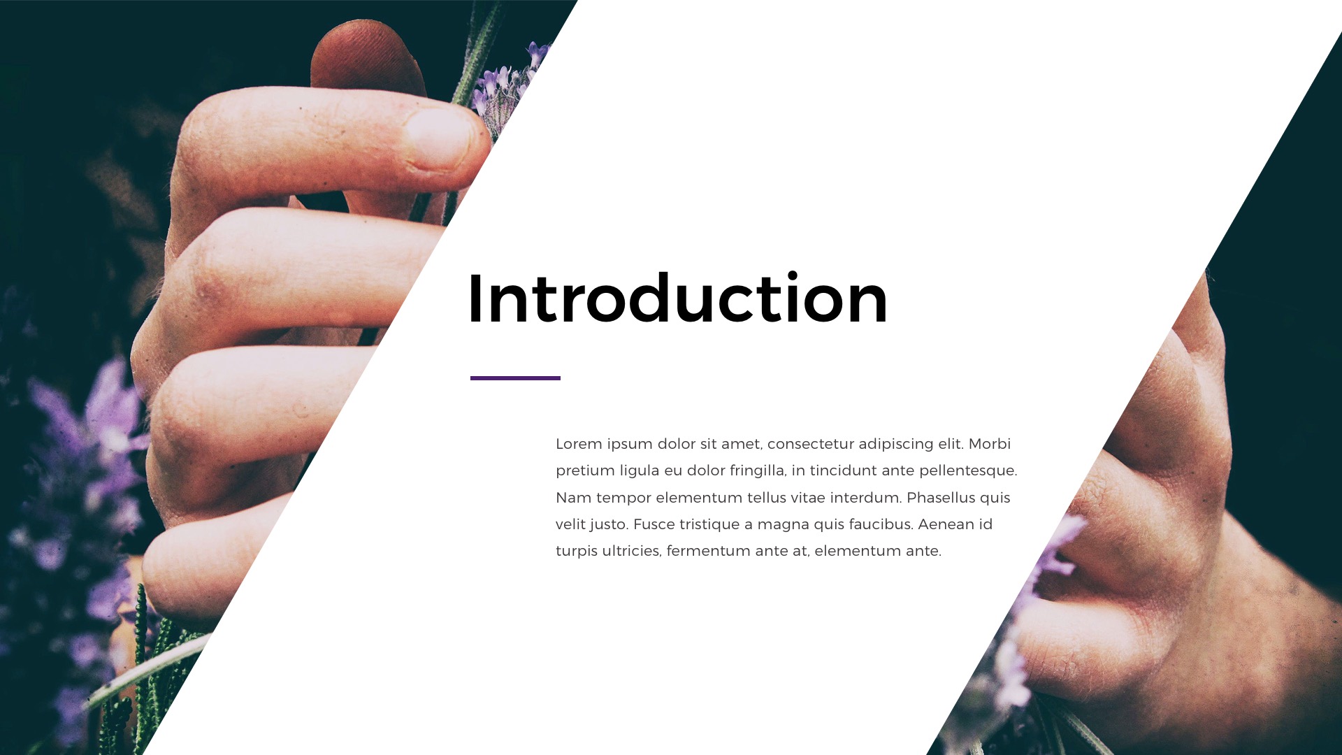 Rational PowerPoint Presentation, Presentation Templates | GraphicRiver