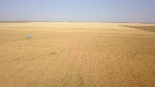 Aerial Flyover of Prairie Wheat Field, Stock Footage | VideoHive