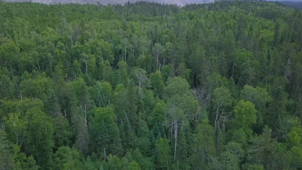 Aerial Reveal of Open-pit Gold Mine in a Forest, Stock Footage | VideoHive
