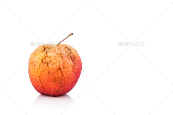 Rotten and decomposing red apple on white background Stock Photo by ThamKC