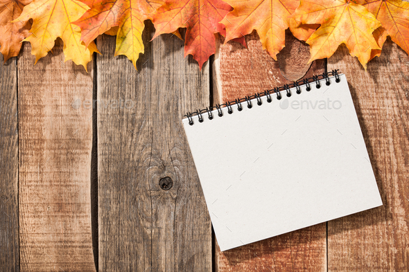 Autumn background with maple leaves and notepad Stock Photo by ff-photo