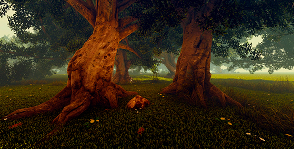 Movement Through Oak Forest, Motion Graphics | VideoHive